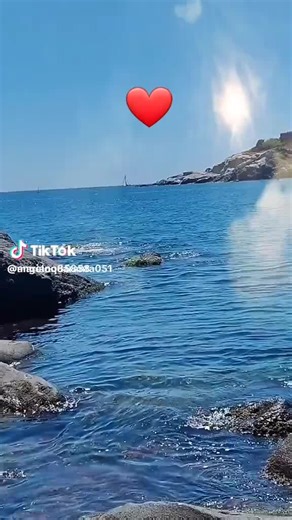 Video di forzza napoli 💙💙💙 (@cosimo.ligorio3) con suono originale - forzza napoli 💙💙💙