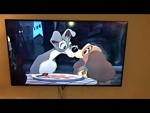 Walt Disney World: Share a Dream