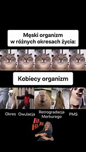 Totalnie rozumiem ten rollercoaster 🎢 emocji! Jeden moment płacz 😭, stres i nerwy 😠, a za chwilę śmiech 😂 do łez. Chyba każdy tak ma, prawda? Myślę, że to normalne w życiu, takie huśtawki nastrojów. Najważniejsze to znaleźć balans 🧘‍♀️ i cieszyć się chwilą. #emocje #życie #rollercoaster | Martyna Tlałka