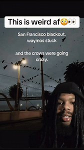 14K views · 504 reactions | The power outage in San Francisco had the crows going wild #weird #poweroutage #sanfrancisco #crows #fyp | LulZae Edwards | Facebook