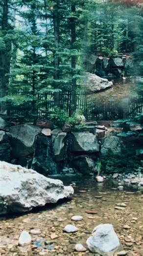 #nowordsneeded🌻🥰 #needthisagain❤️