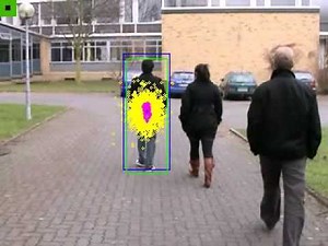 Video Tracking with an Adaptive Particle Filter (Person)
