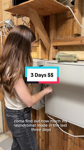 Find the ✨Link✨ in my bio and learn more about owning a laundromat! #business #money #laundromat #smallbusiness #rn