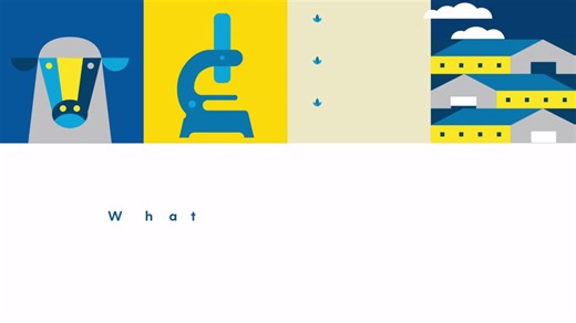 🎥 What is Extension? Each week, we hear directly from community members—farmers, educators, food service workers, and more—about what the University of Delaware Cooperative Extension means to them. Real voices. Real impact. #UDExtension #WhatIsExtension | UD Cooperative Extension