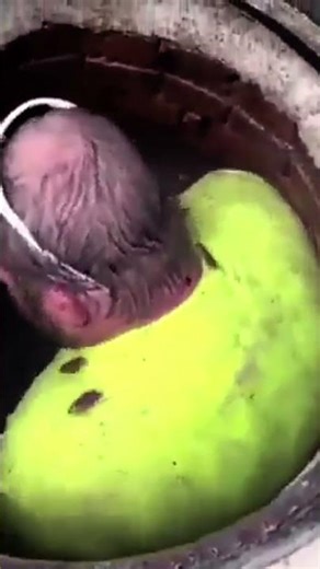 🕷️ One of the Most Dangerous Jobs | Insect Exterminator at Work 🐜⚡