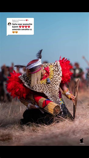 Loluthando Lwamazulu: A Vibrant Celebration of Love and Culture