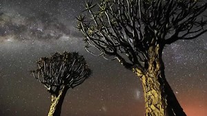 You should visit Namibia. This time-lapse shows you why. http://win.gs/1PaOhr8 | Red Bull Adventure