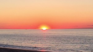 4.7K views · 307 reactions | Watching the sun go down is something that we never get tired of! #artsdunetours #ptown #capecod | Art's Dune Tours | Facebook