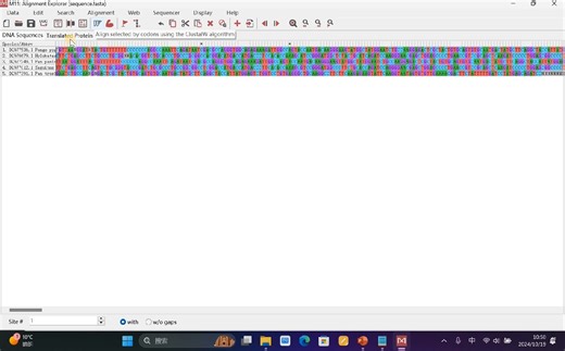 2-1多序列的比对