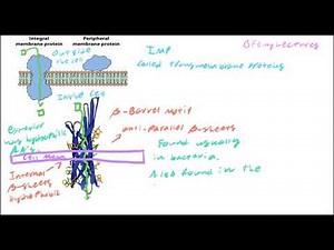 Biochemistry Lecture 14 Lipids Part 3