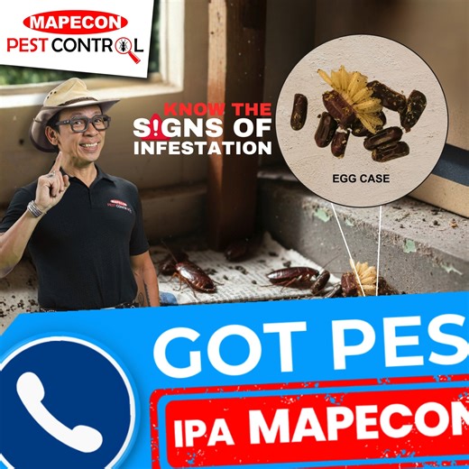 Found a cockroach egg case? That’s a warning, Infestation may already be starting. 🪳🚨 Protect your home with 𝐌𝐀𝐏𝐄𝐂𝐎𝐍 ! 🛡️ D.I.A.L 📞 8567 - PEST (7378) 📲 09209113886 (Smart) 📲 09175285709 (Globe) 📲 09228242295 (Sun) or send us a message at 📧 customercare@mapecon.com.ph 🌐www.mapecon.com #IpaMAPECONMo #provenprotection #trustedforgenerations #ipis #MAPECONProtects #ONEMapecon #pests #cockroachcontrol | MAPECON Philippines, Inc.