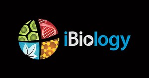 The Strategic Postdoc • iBiology
