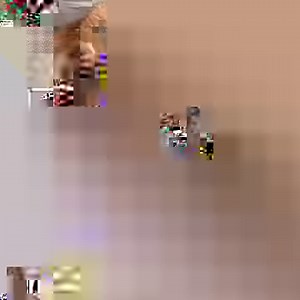 Need a break from election coverage? We’ll be sharing the purest, cutest animal moments all day long ❤️ | The Dodo