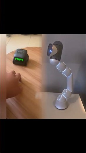 Cute Boxer Robot Reactions #boxer #boxerrobot #robot #airobot #petrobot