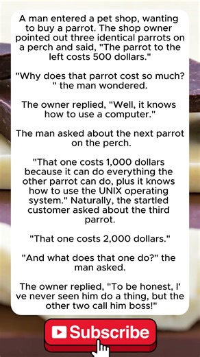 The Boss Parrot #parrot #petshop #funny #boss #comedy #jokes #humor #computer #unix #smart