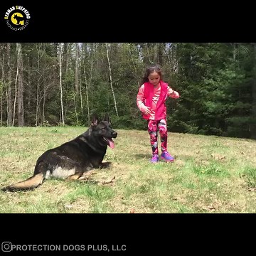 3.5M views · 8.8K reactions | German Shepherd Protects Young Girl From Danger  Would yours, too? | German Shepherds Family | Facebook