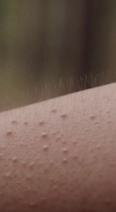 Human Body Mysteries #fact #facts #shorts #short #reels #viral #fyp #history | Mind facts