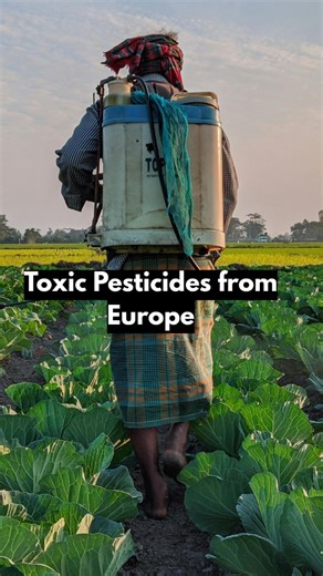 NTV Kenya on Instagram: "Europe continues to export harmful pesticides, exposing communities and workers to serious health risks"
