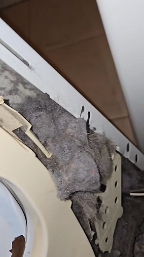 Customer said the dryer was making a loud screeching sound. We replaced the bearing slides, adjusted the felt seal and did maintenance. Good to go! 👍 👏 #mannysappliance #westpalmbeach #boyntonbeach #womenownedsmallbusiness #appliancestore #delray #dryerrepair #womentechs | Mannys Appliance & more LLC