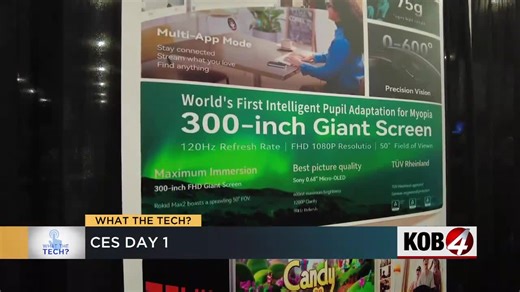 Consumer Electronics Show 2025: Day 1 | What the Tech?