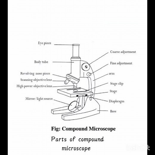 parts of compound microscope.! #microscope #science #leb #physics #biology