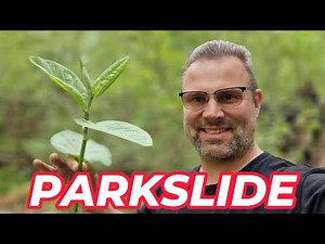 KAN MAN UTROTA PARKSLIDE MED KOPPAR ??