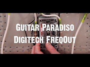 Guitar Paradiso - Digitech FreqOut - Get your FreqOn..
