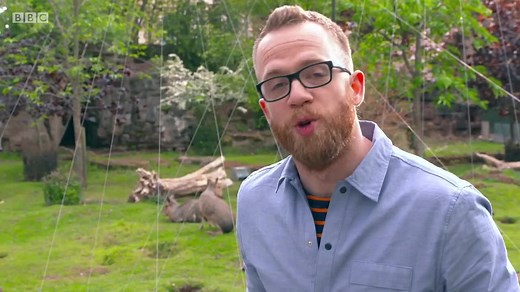 Nasze zwierzaki: U weterynarza S01E01 DUB PL