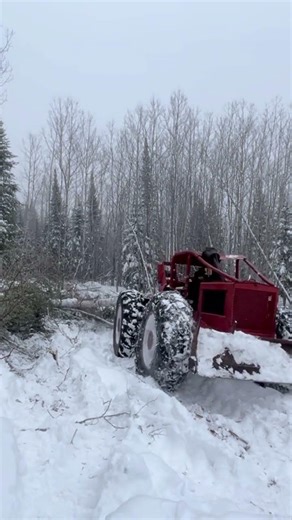 Timberjack 230 log skidder #detroitdiesel #skidder #timberjack #logging