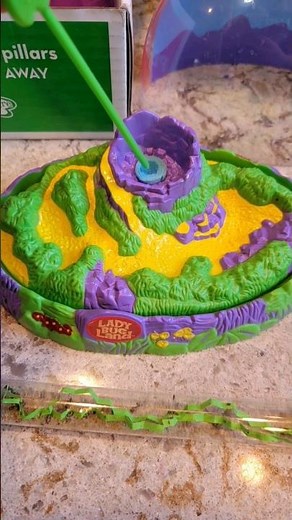 Raising Ladybugs from Larva #nature #naturelovers