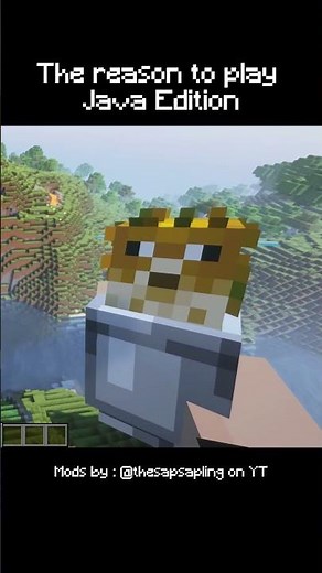The reason to play Java Edition (Hold My Items mods) "It was released before A&S" #minecraft #mods
