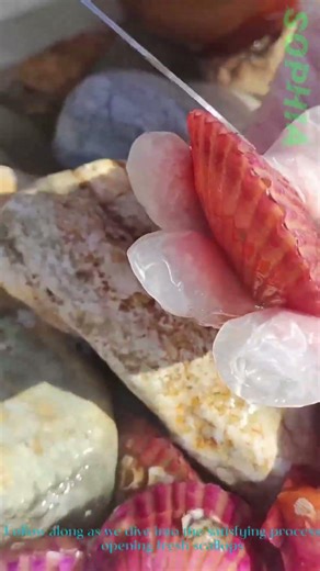 Opening Scallops & Finding a Purple Pearl!