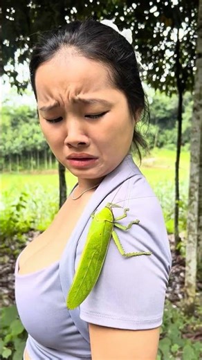 how to treat insect bites #survival #camping #lifehacks