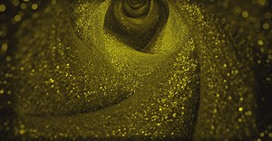 Video by Pachon in Motion on Pexels