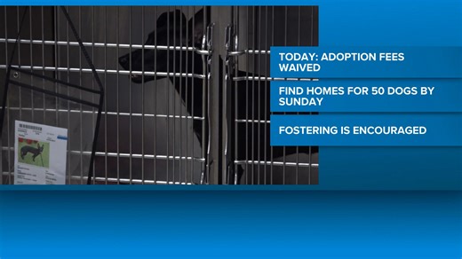 St. Louis County pet adoption center waiving adoption fees