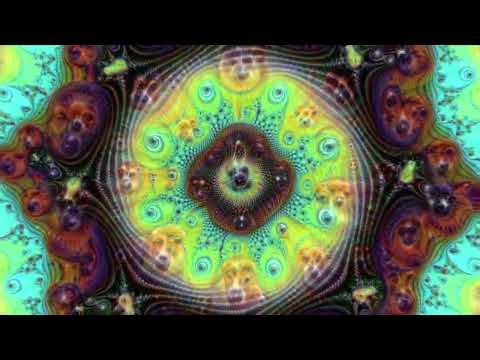 Reflection Fractal Forest