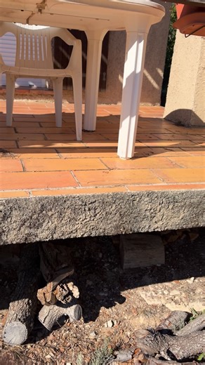 15 reactions |  Traitement d’un nid de frelons asiatiques – fin...