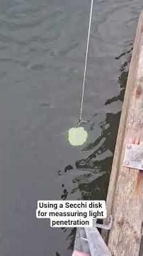 using A Secchi disk. #marinescience