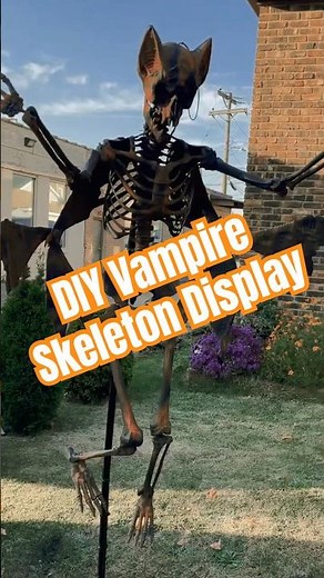 DIY Vampire Skeleton Display for Halloween 💀🦇