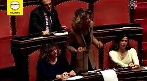 MINISTRO, LEI È UN GARANTITO! CON IL FISCAL COMPACT PER FAMIGLIE E IMPRESE ITALIANE INVECE SARÀ LA FINE! Durissima risposta della nostra Barbara Lezzi al Ministro Padoan intervenuto poco fa in aula Questo paese ha bisogno di investimenti, reddito di cittadinanza e meno tasse per le imprese, non mancette per i soliti noti! | MoVimento 5 Stelle Senato