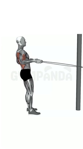 Standing Resistance Band Row - Perfect Form Guide #shorts