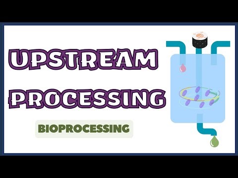 Upstream Processing || 🔴Bioprocess #biotechnology #upstreamprocessing #bioprocess #upstream