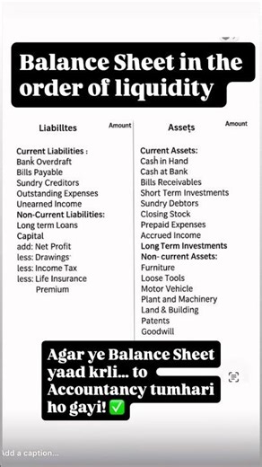 Ye Balance Sheet Yaad Ho Gayi To Accountancy Tumhari! | Class 11 Accounts