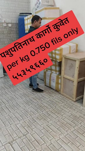 Warehouse Unboxing: Exploring Cardboard Inventory