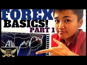 Complete Beginner's Guide to Forex Trading