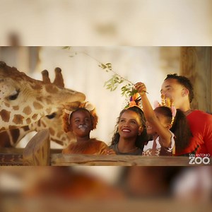  Zoo Boo is back at San Antonio Zoo, presented by PNC Bank!  Get...