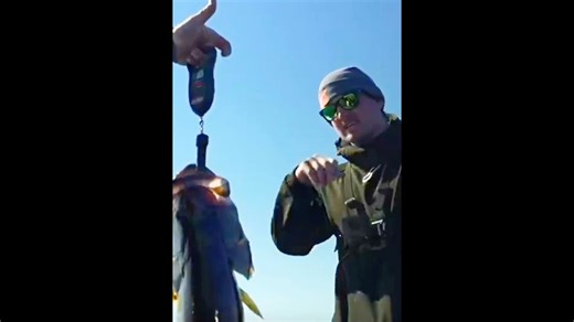 How to estimate a fish’s weight accurately without a scale