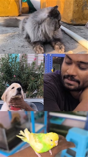 giveaway aquarium setup get the gift hurry up❌ not 3455 not this number #aquariumshop #giveaway