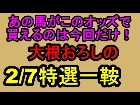 【タイムセール実施中】大根おろしの競馬予想！2/7【50部限定】