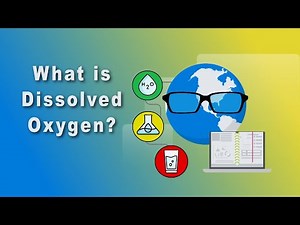 What is Dissolved Oxygen?